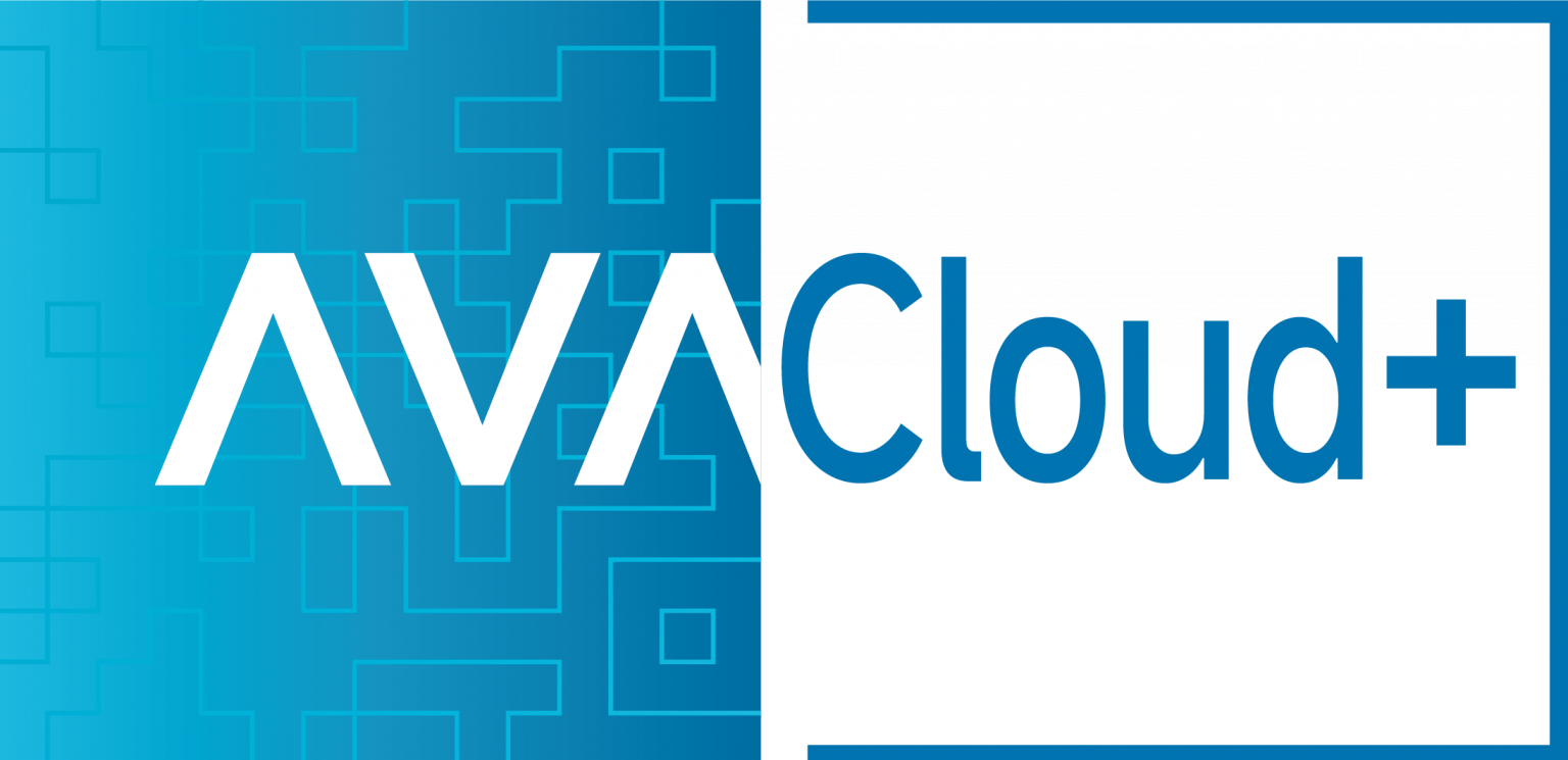 AVA – Fast and low-cost customization of digital business